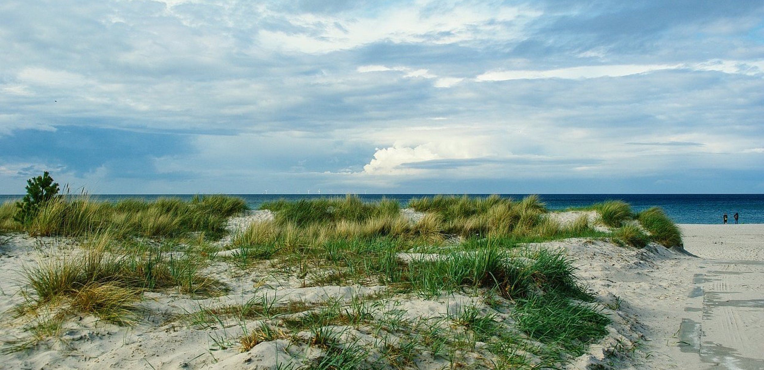 Fietsvakantie Oostzee boeken | Cycletours